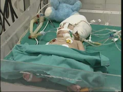 Manar Maged Separated